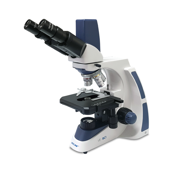 Histología – Etiqueta "Digitales" – Laboteca
